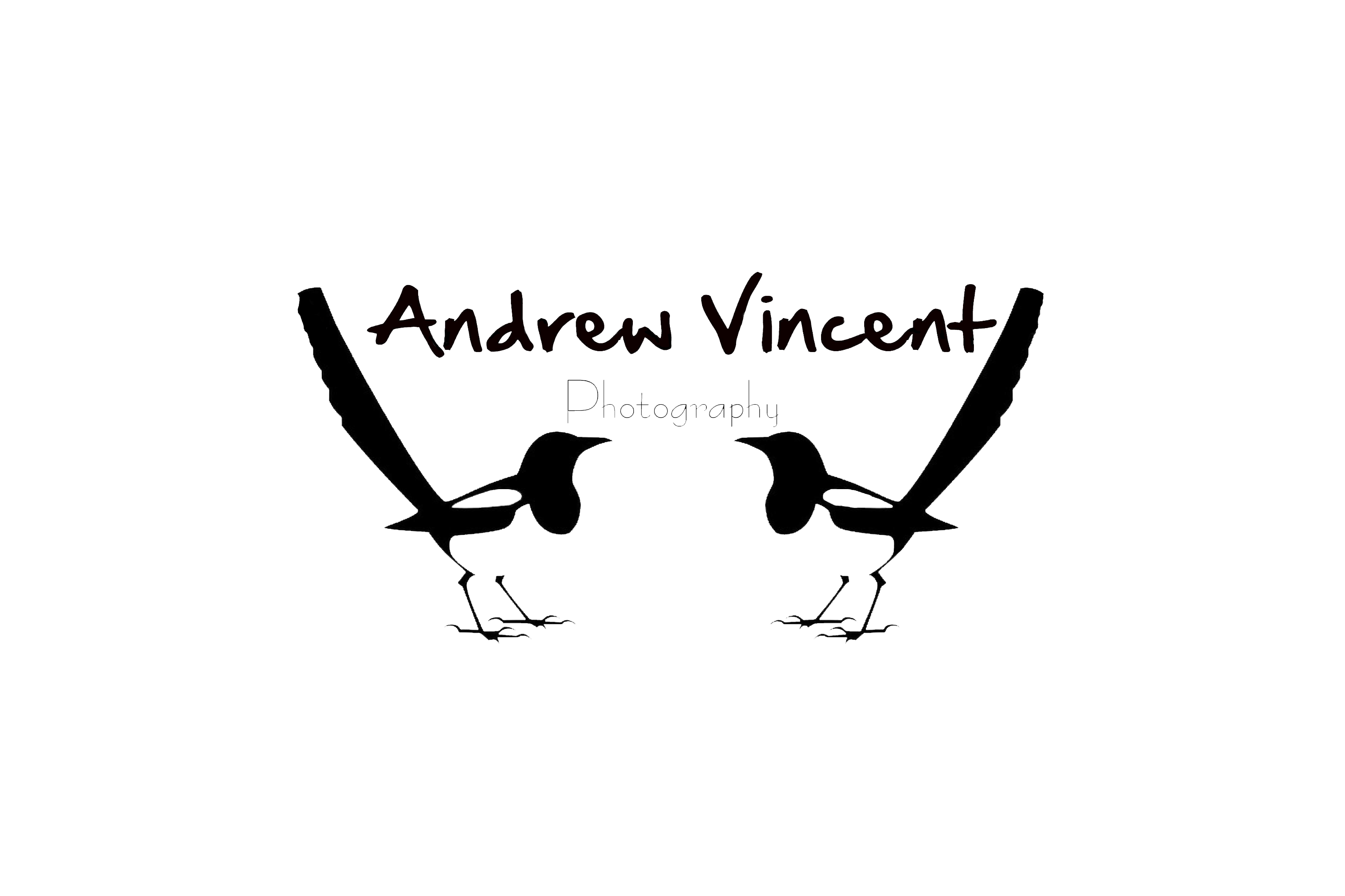 andrew vincent photography - Welcome